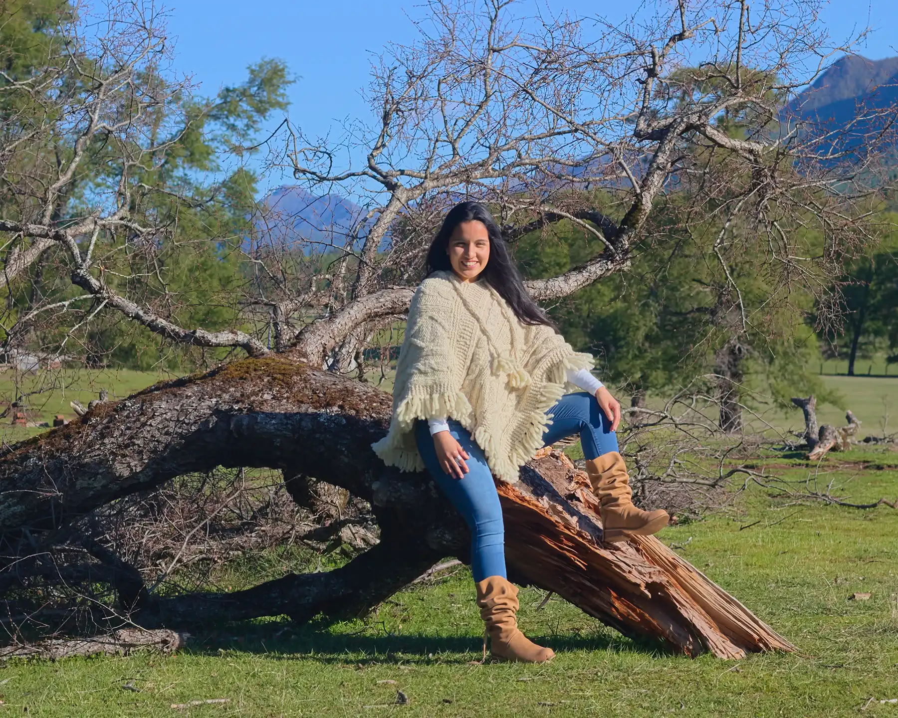 Thick Andean Wool Poncho with Hood - Canelo Model